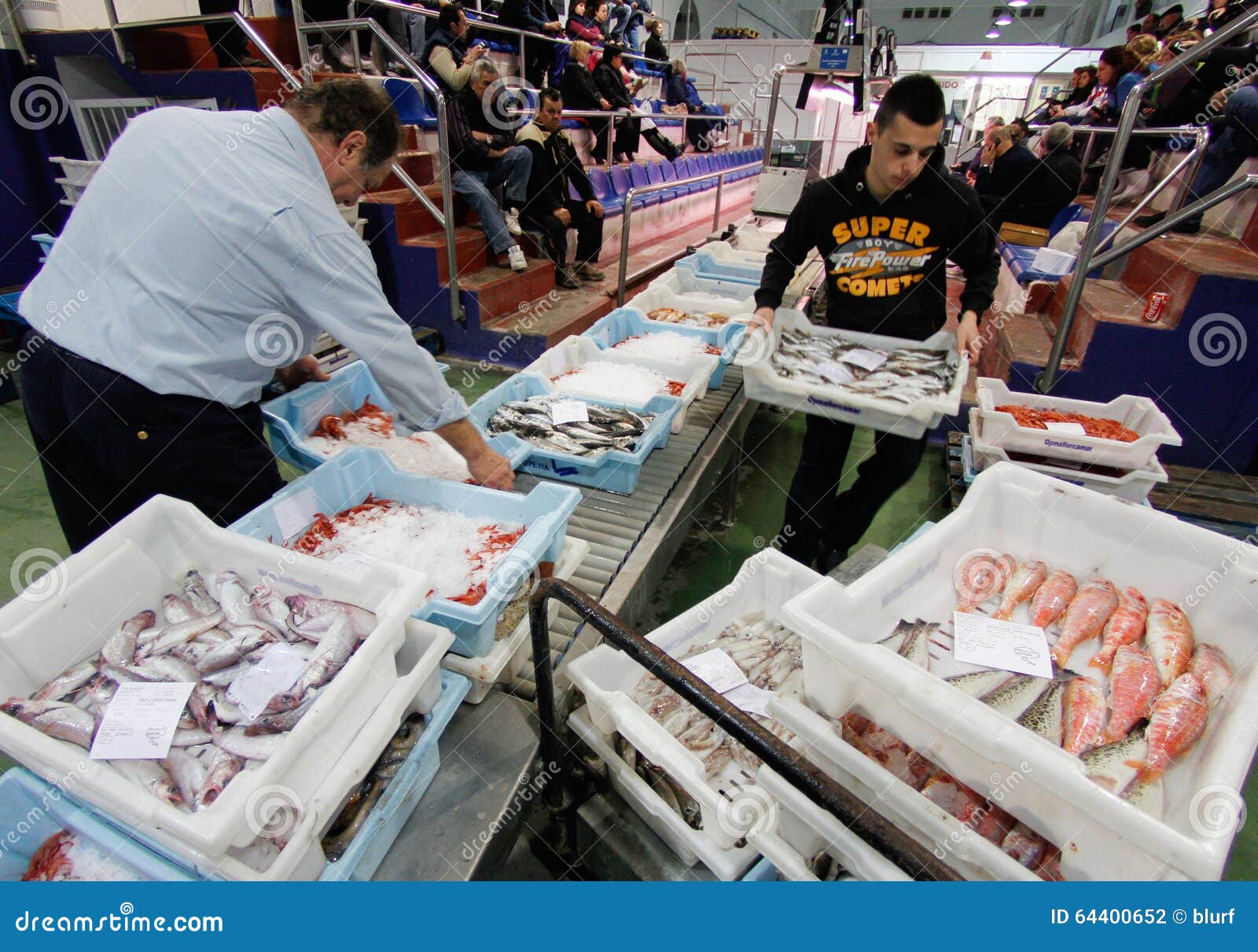 Workers Moving Cargo on Fish Market Editorial Photography - Image of ...