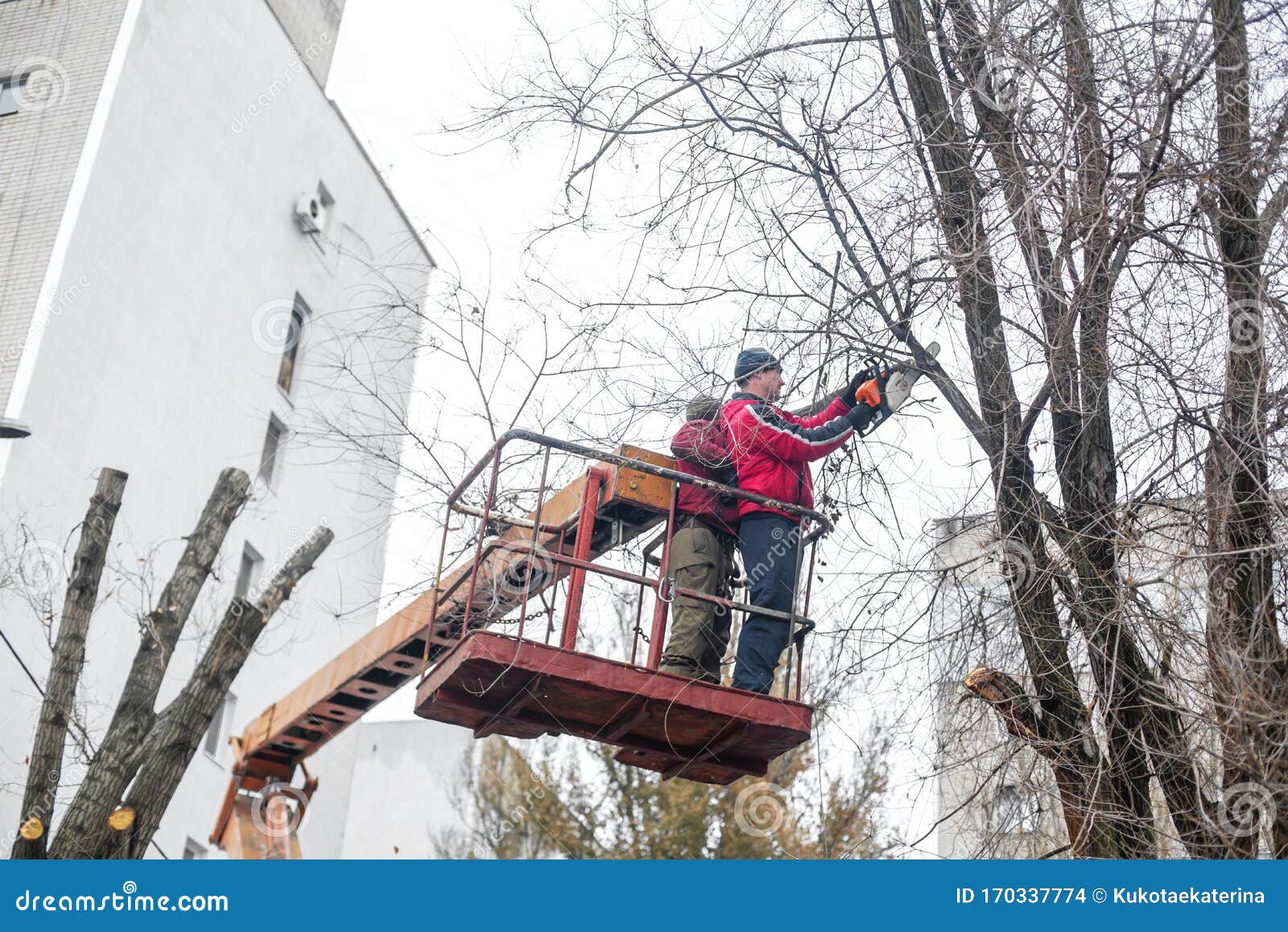 Workers In The Municipal Utilities Cut Tree Branches. Heavy Branch ...