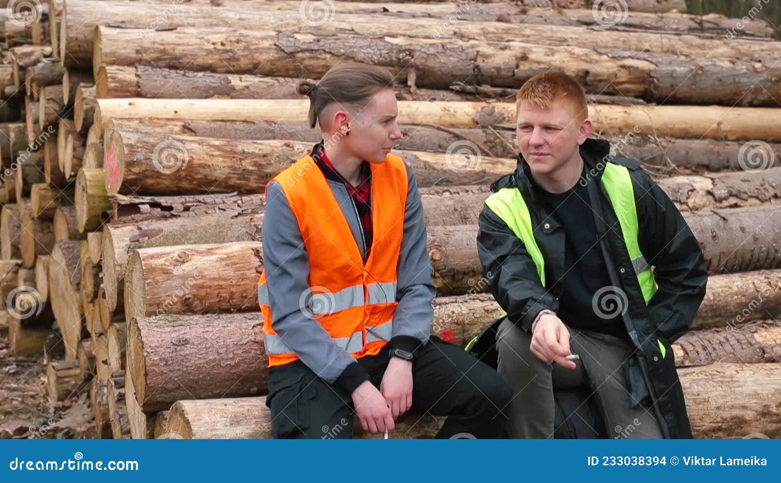 Workers Pause Logging Work. they Sit on Logs, Smoke a Cigarette Stock ...