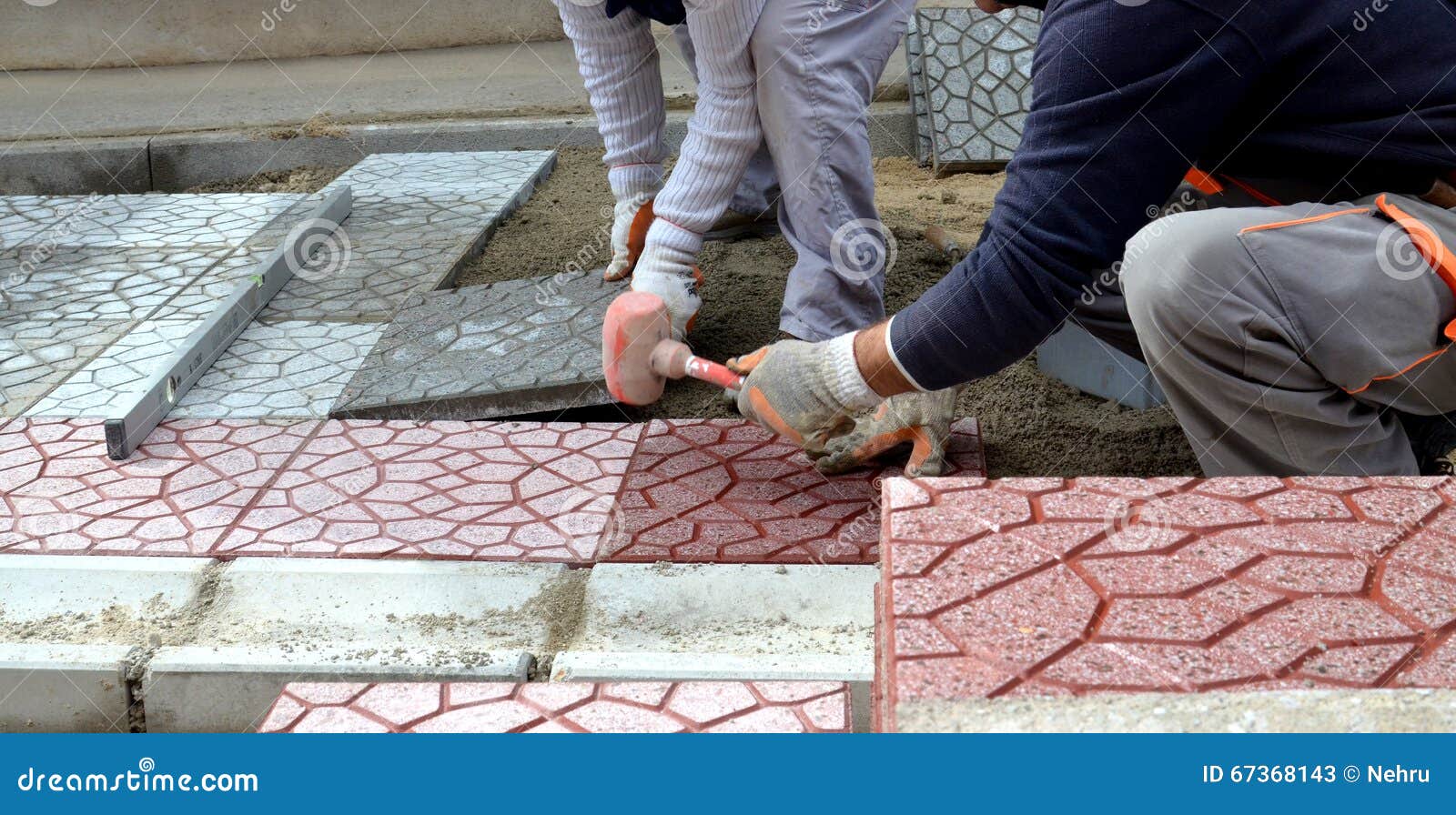 Workers paving walkway stock image. Image of horticulture - 67368143