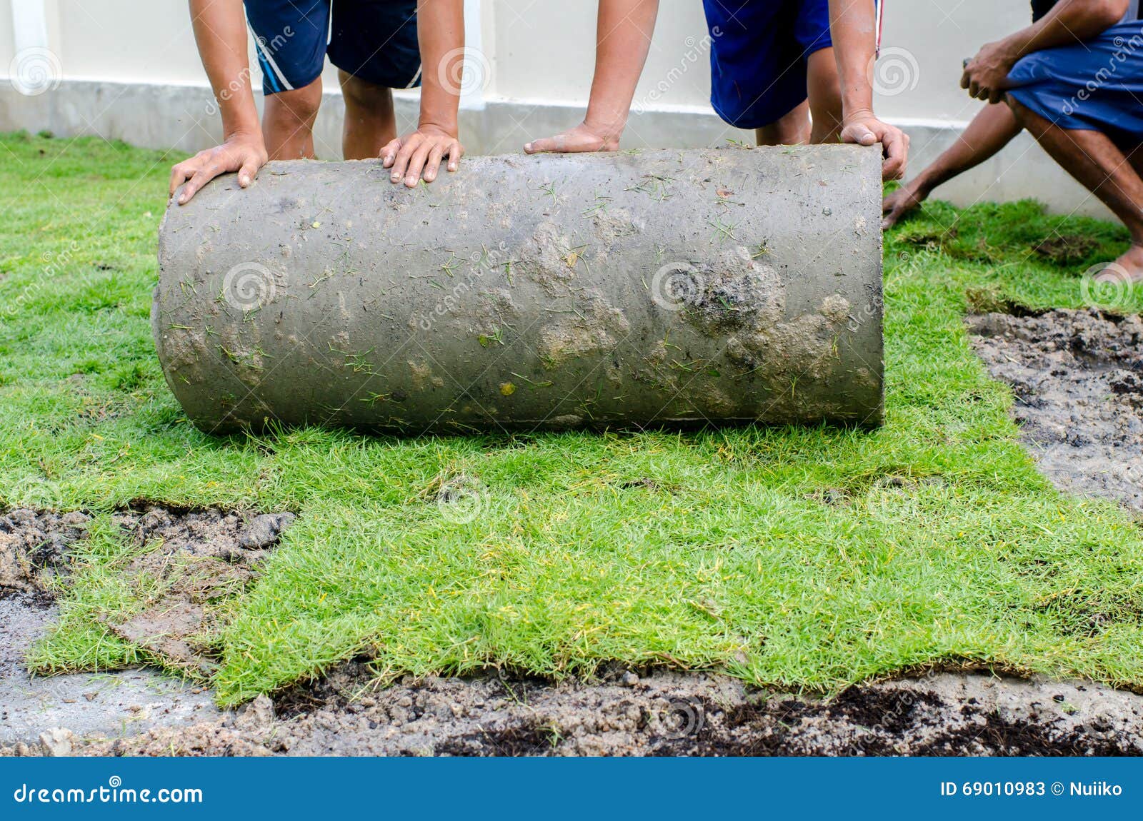 Workers are Planting Grass in the Backyard. Stock Image - Image of care ...