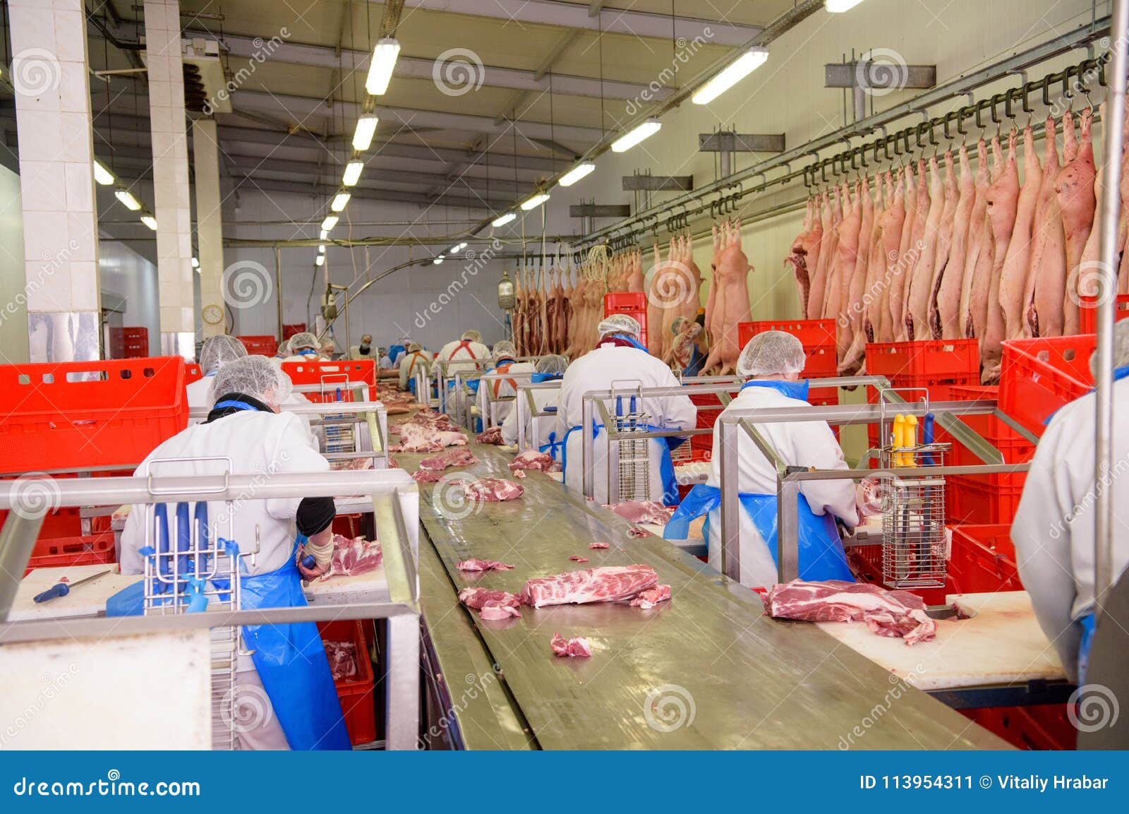 Meat Manufacturing Factory. Butcher Cutting Beef Carcass Stock ...