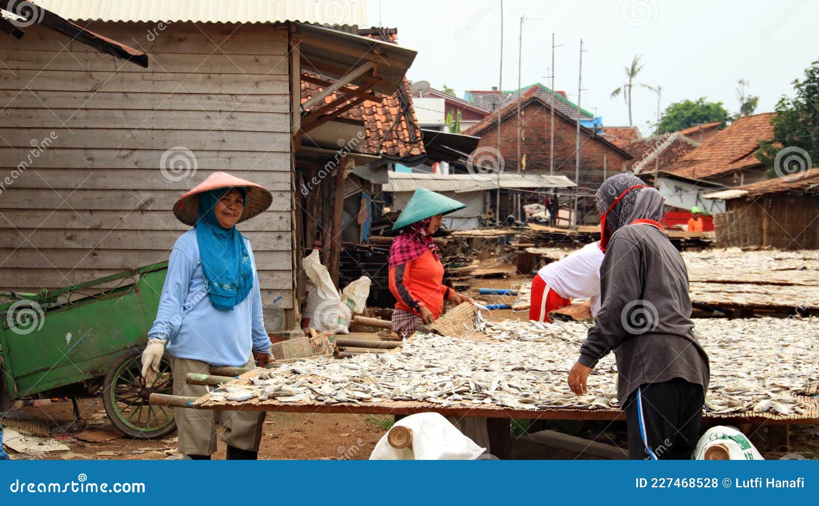 Workers Processing Fish in the Fish Drying Industry Editorial Stock ...