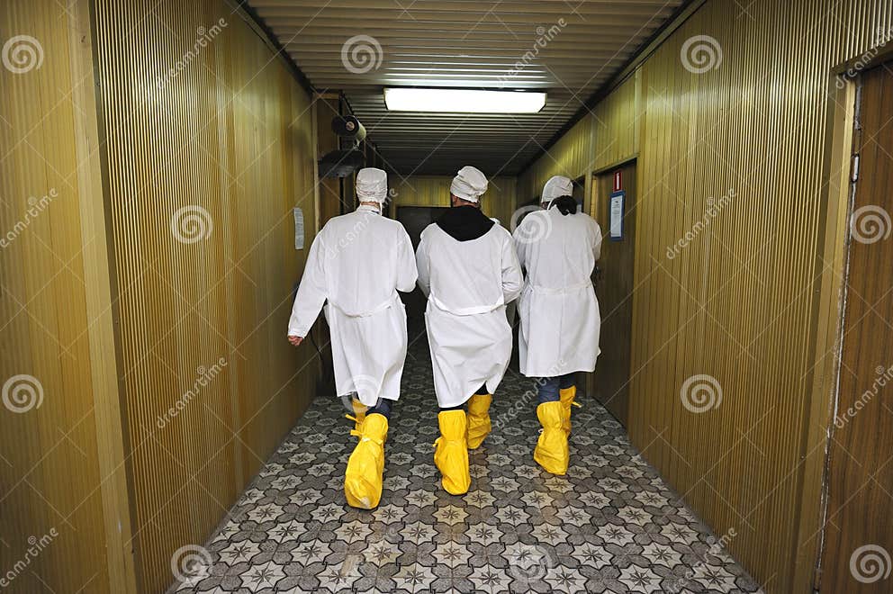 Workers in Protective Clothes Going Down the Passageway of the ...