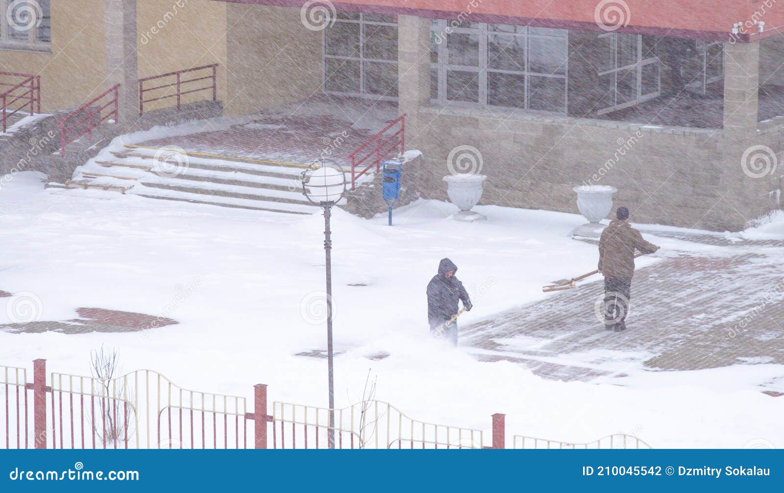 Workers Remove Snow in Winter, Work with Shovels Stock Photo - Image of ...