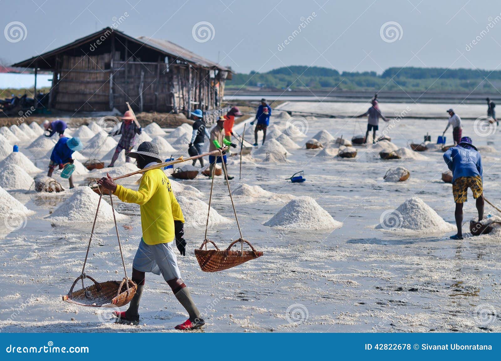 Workers in Salt Farming Thailand Editorial Stock Photo - Image of ...