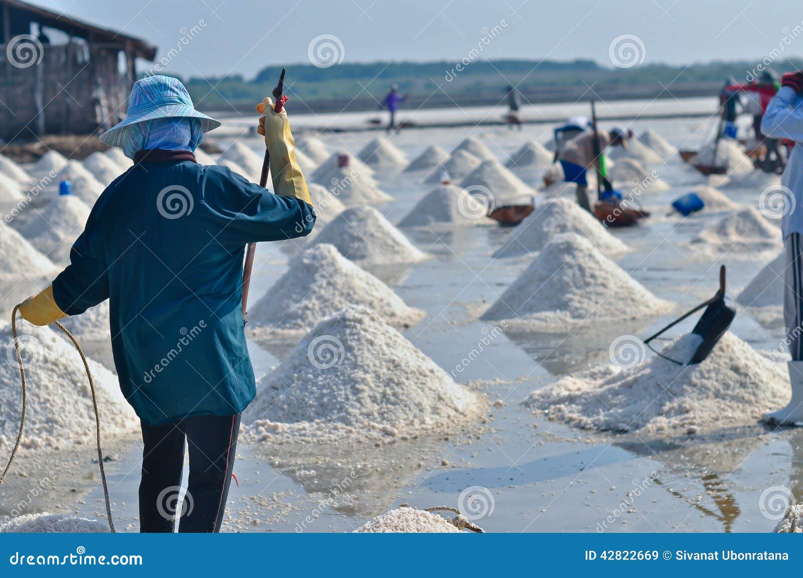 Workers in Salt Farming Thailand Editorial Stock Image - Image of ...