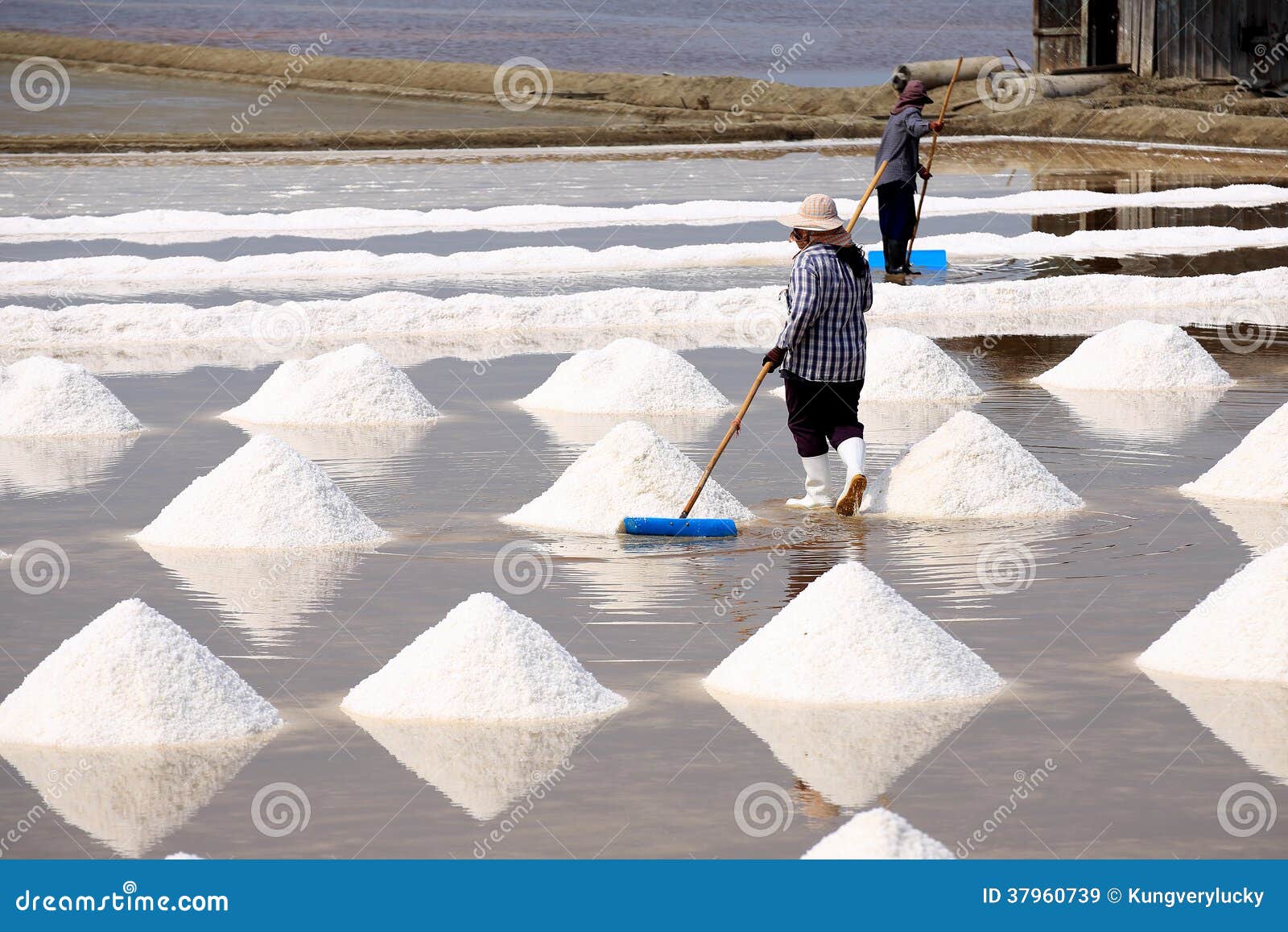 Workers in Salt Pans, Thailand. Editorial Stock Image - Image of ...