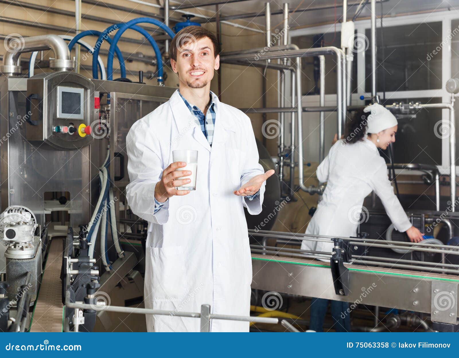 Workers Showing Dairy Production Process Stock Photo - Image of adult ...
