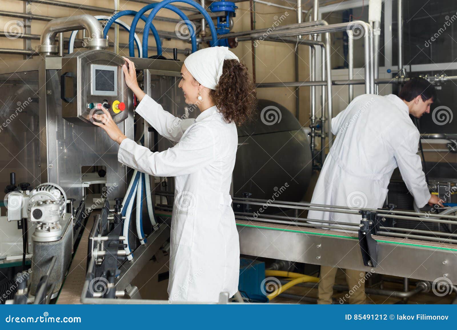Workers Showing Dairy Production Process Stock Photo - Image of milk ...