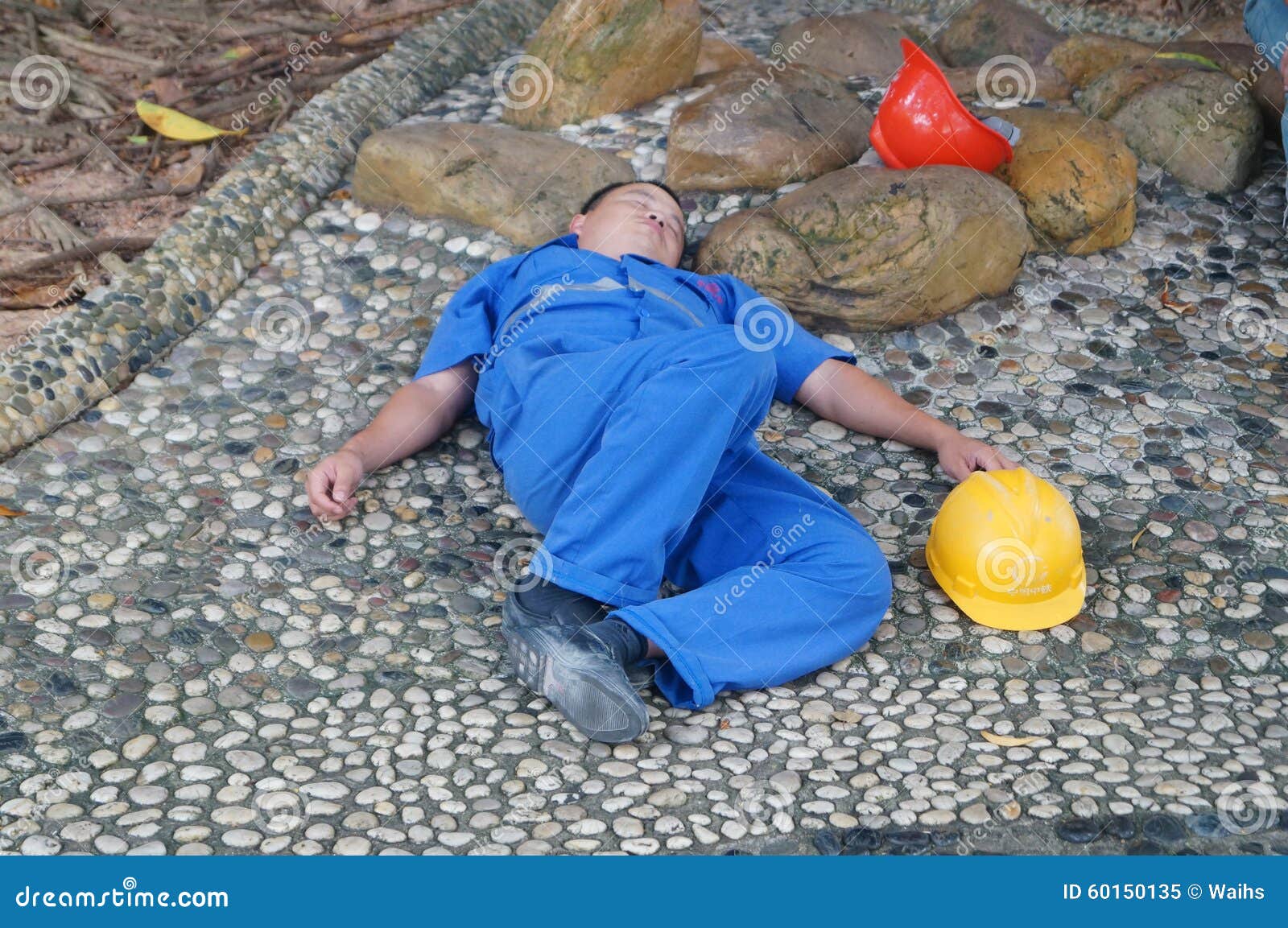 Workers are Sleeping Under the Tree. Editorial Image - Image of tree ...
