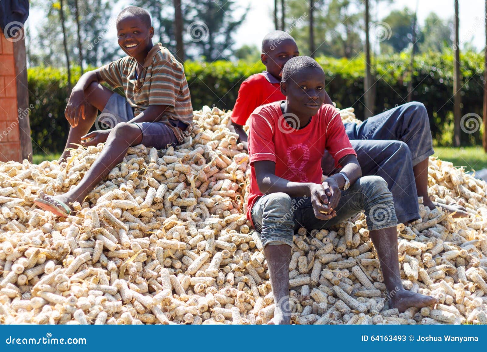 Workers take a break editorial stock photo. Image of resting - 64163493