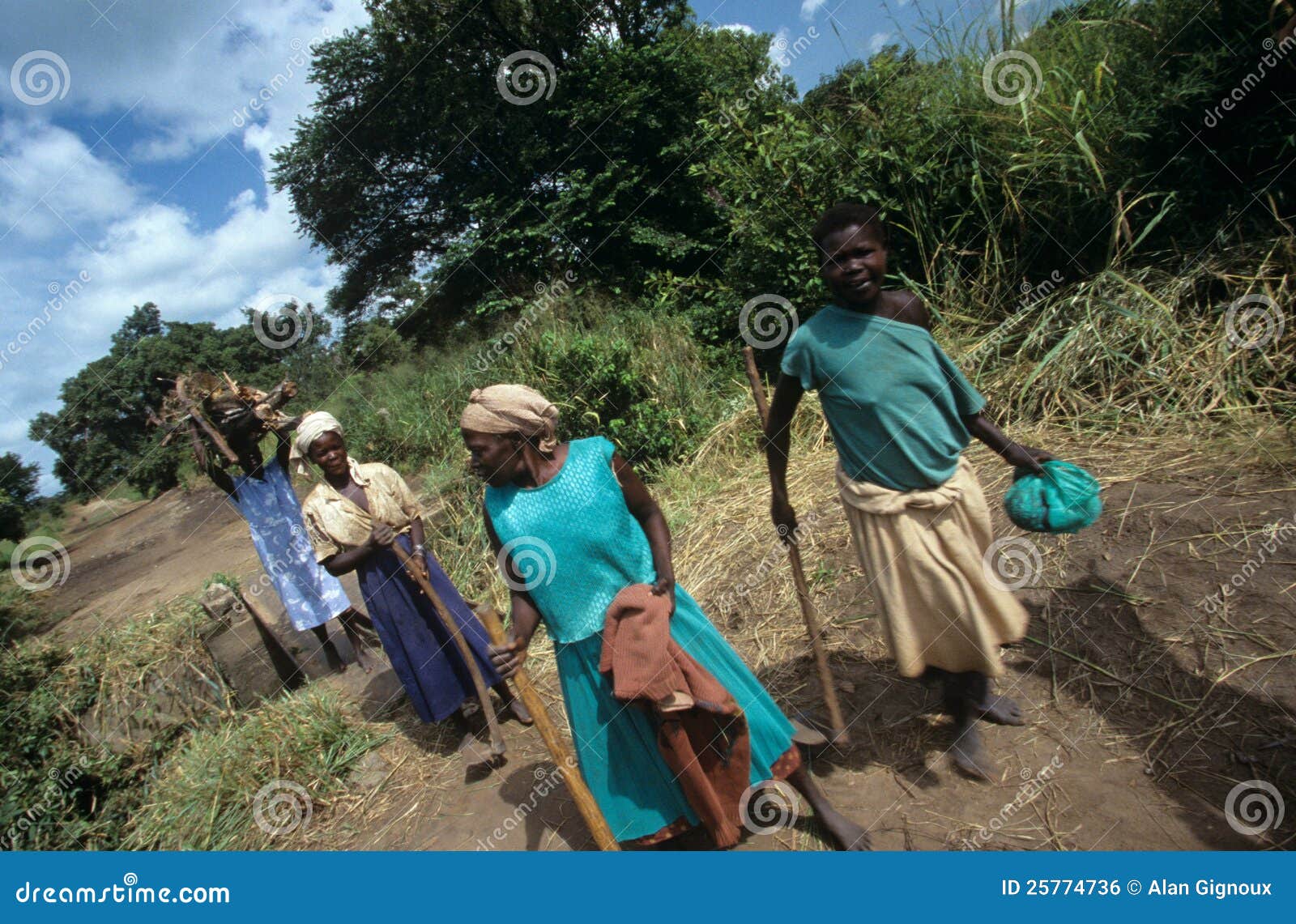 Workers in Uganda editorial photo. Image of women, outdoors - 25774736