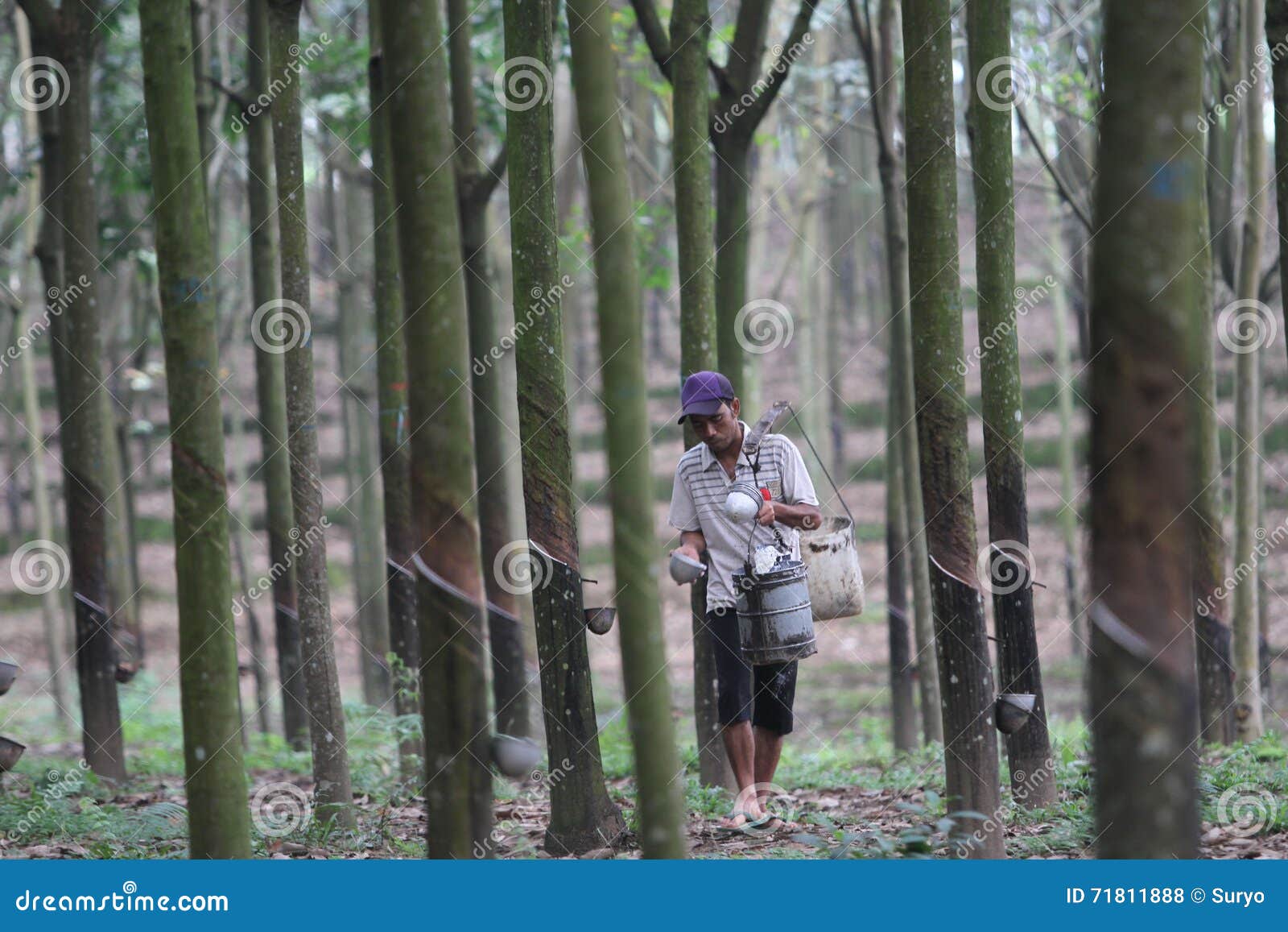 Rubber Workers Transport Rubbers Editorial Photo | CartoonDealer.com ...