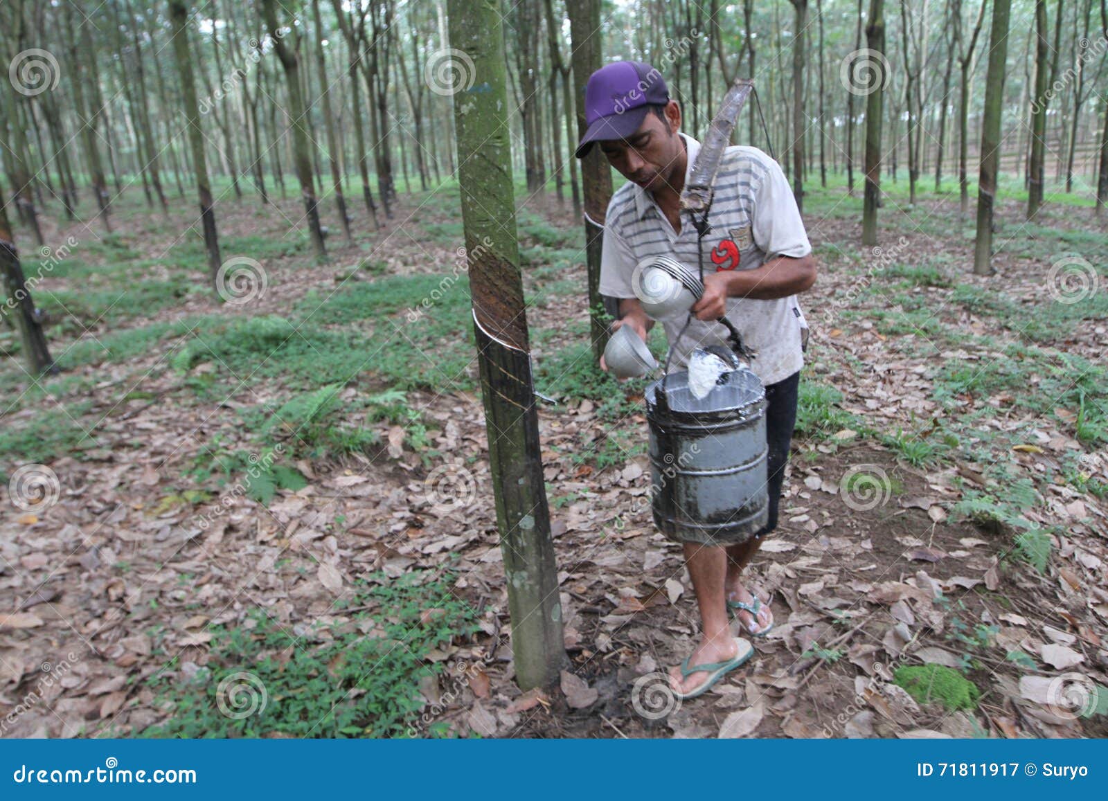 Rubber Workers Transport Rubbers Editorial Photo | CartoonDealer.com ...