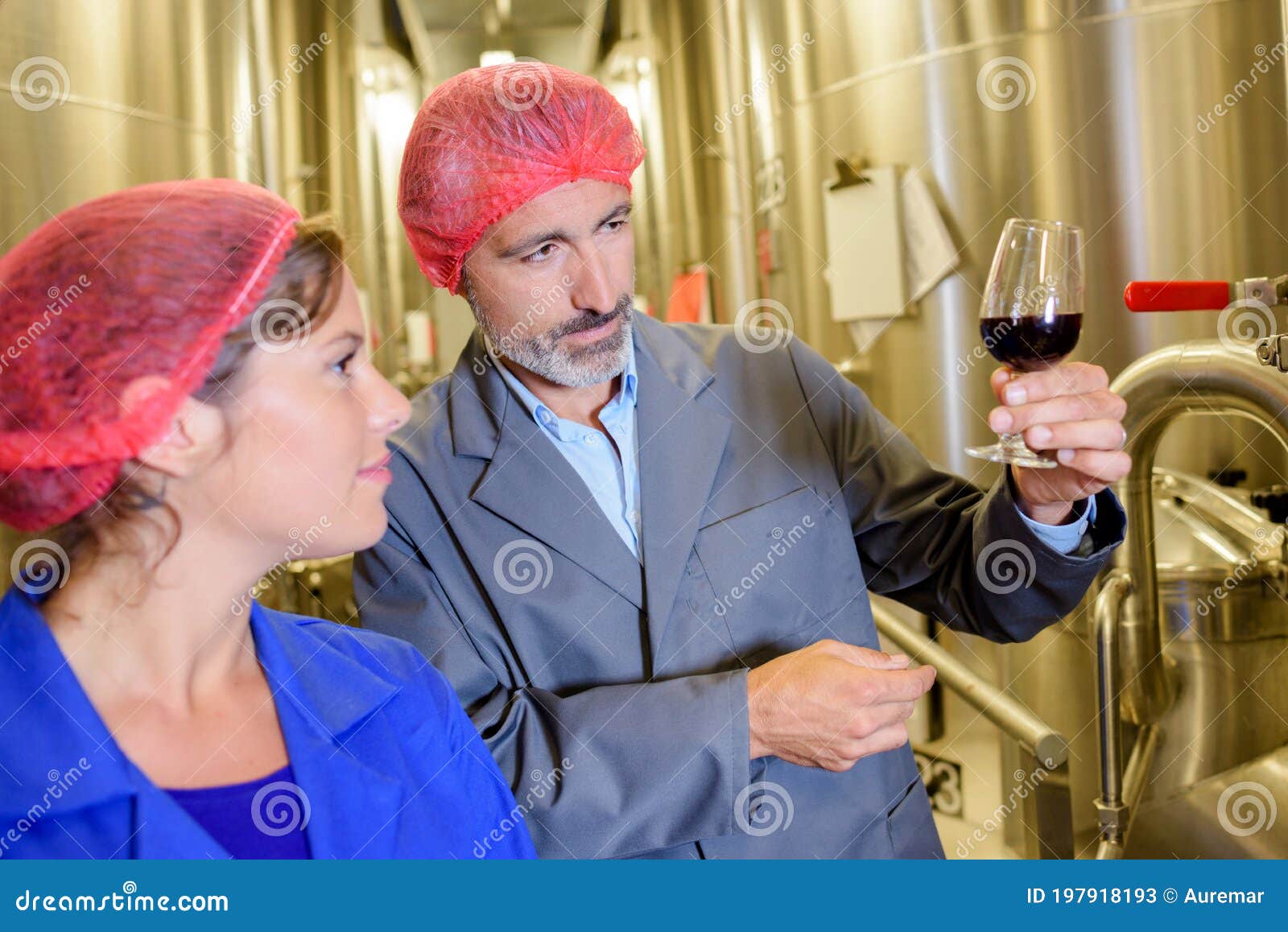 Workers on Wine Bottle Factory Stock Image - Image of adult, vineyards ...