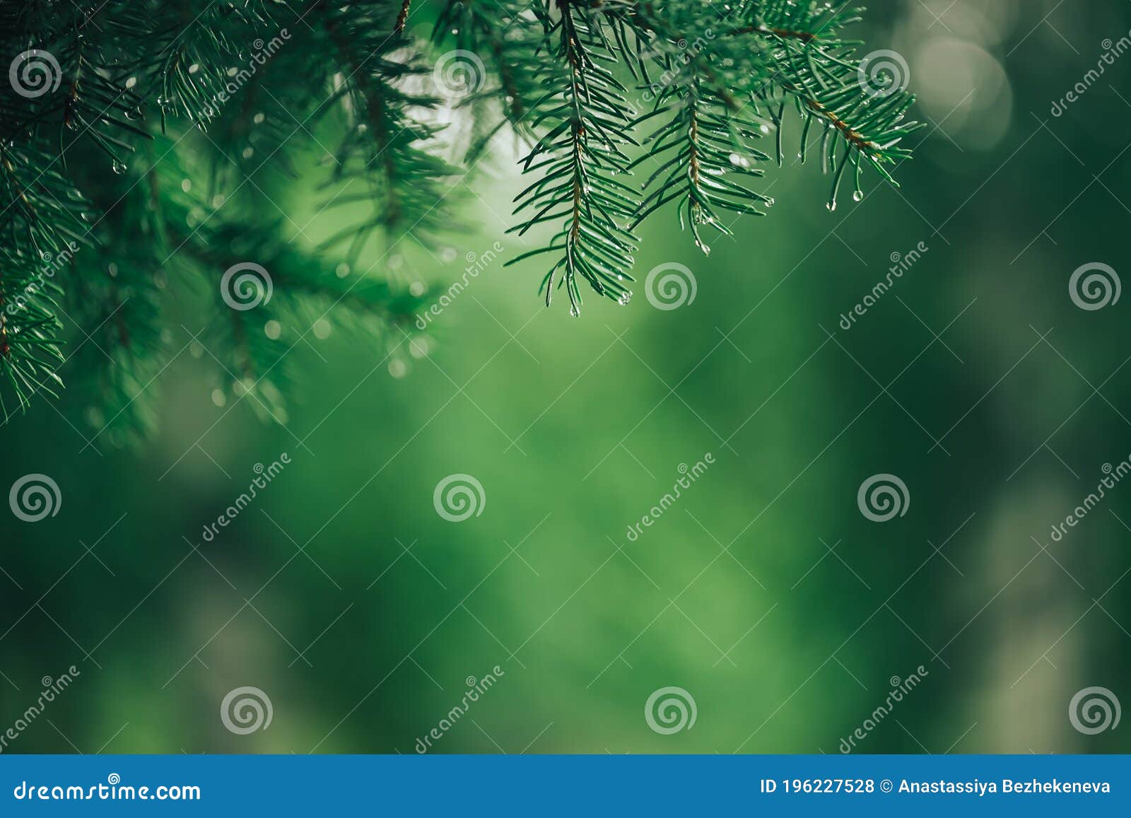 Workers Work with Cement Mortar, Loading the Hopper Bucket with Mortar ...