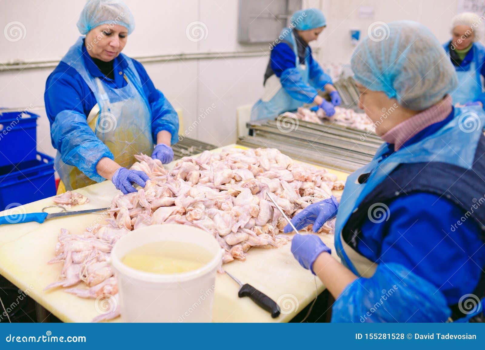 Workers Working in a Chicken Meat Plant Stock Photo - Image of plant ...