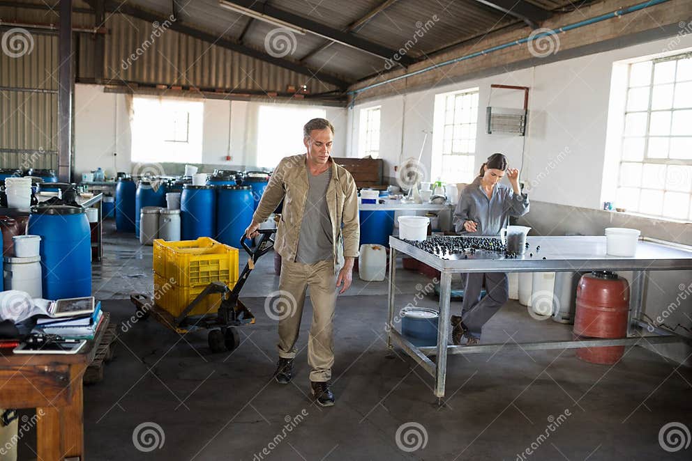 Workers working in factory stock photo. Image of freshness - 95666760