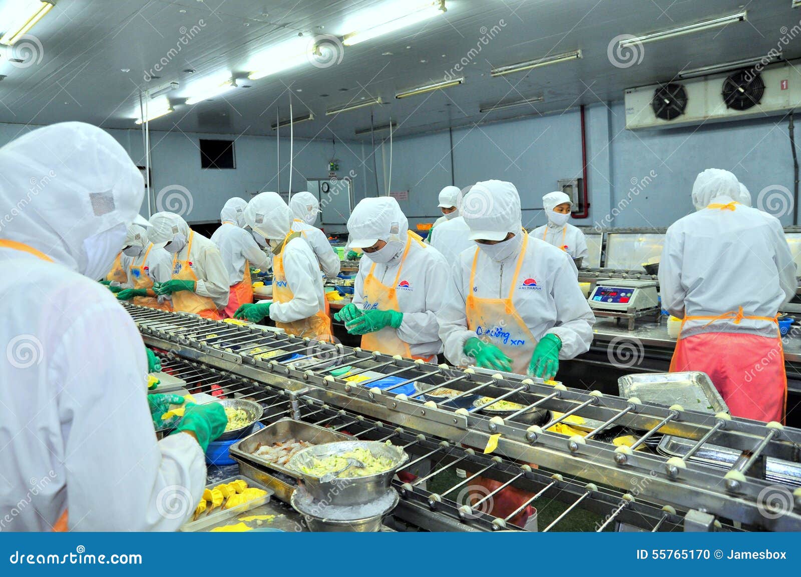 Workers are Working a Production Line in a Seafood Factory in Ho Chi ... Workers are Working a Production Line in a Seafood Factory in Ho Chi ...