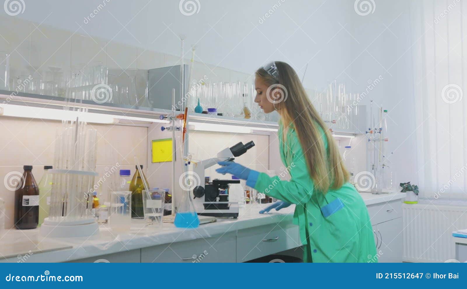 Workflow of a Scientist in a Laboratory. Girl in the Laboratory Stock ...
