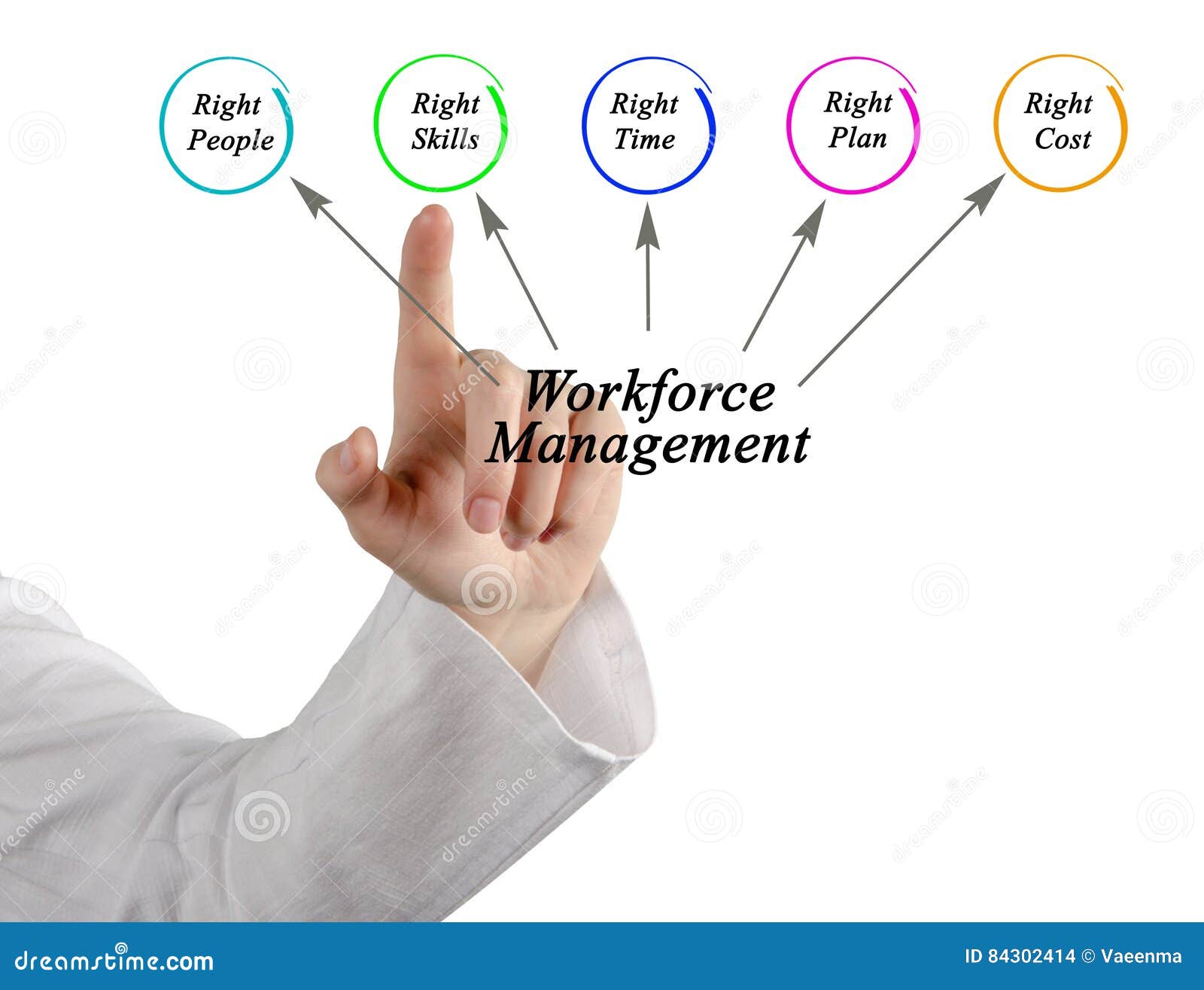 Workforce Management stock photo. Image of knowledge - 84302414