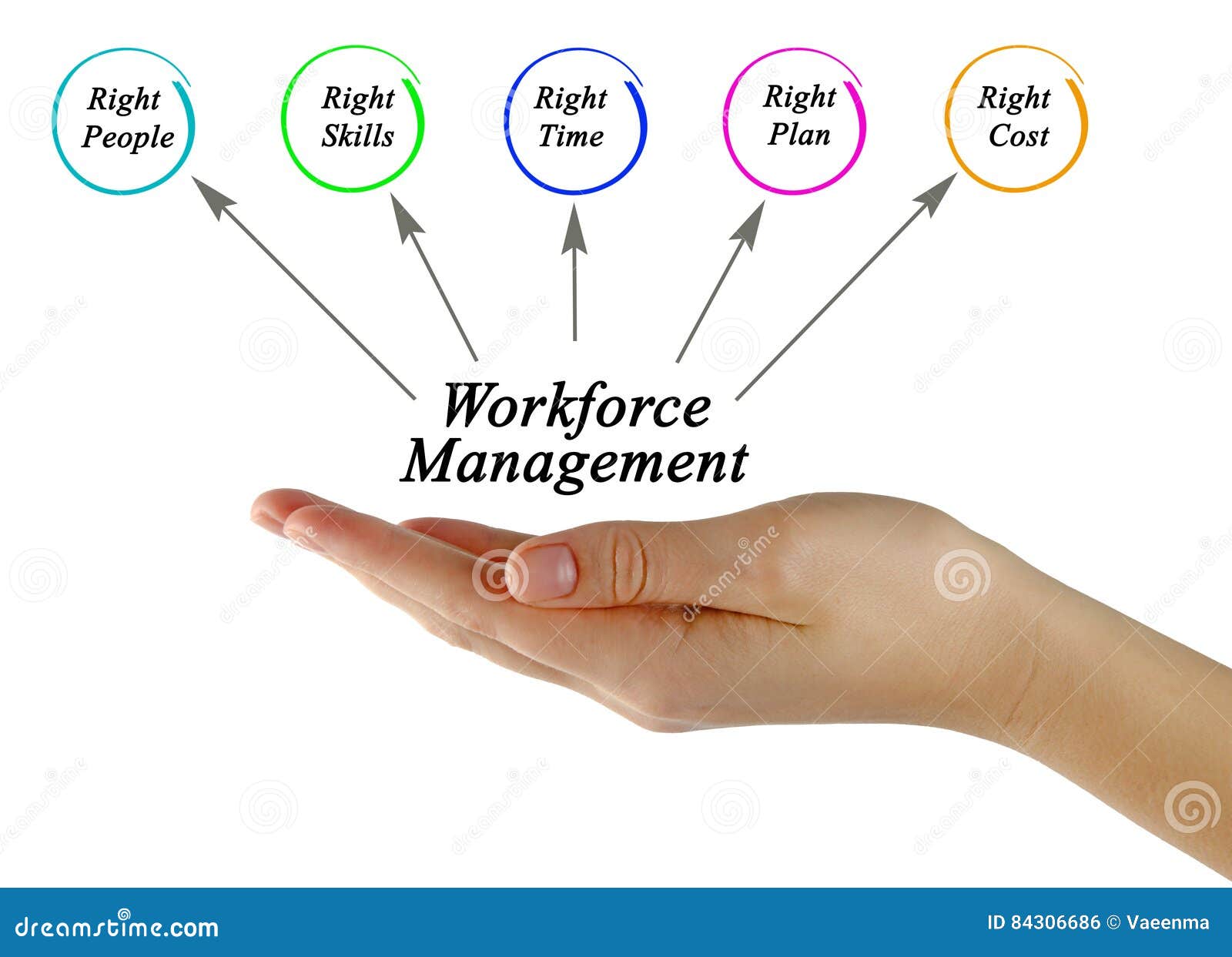 Workforce Management stock photo. Image of manager, member - 84306686