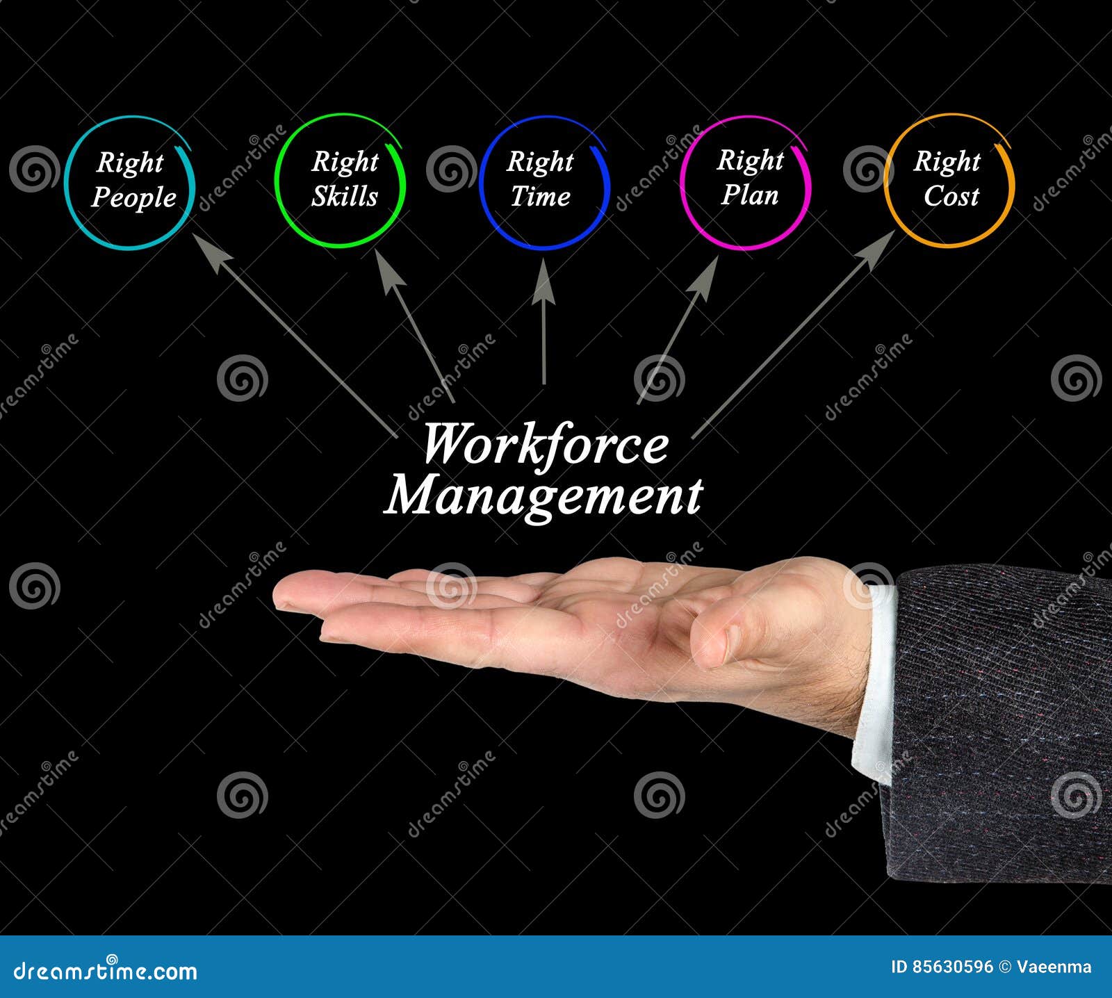 Workforce Management stock photo. Image of director, concept - 85630596