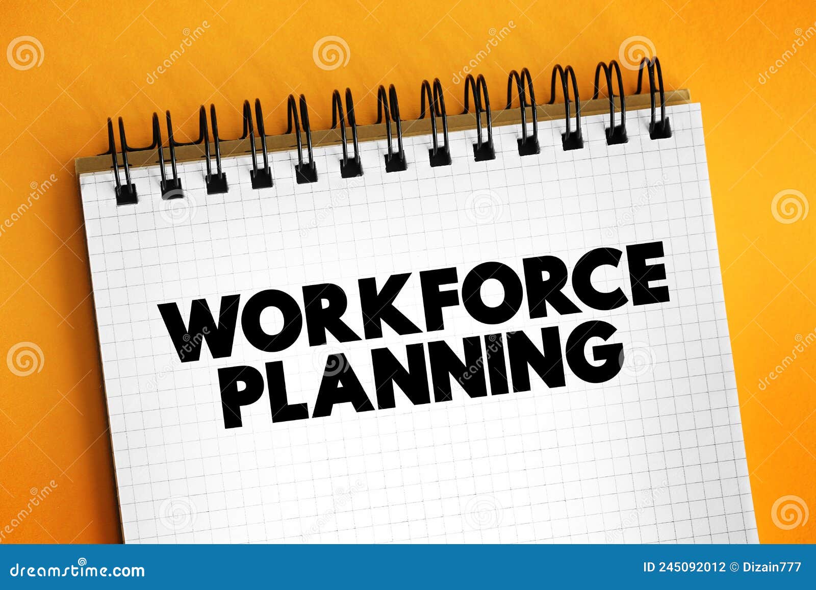 Workforce Planning - Generating Information, Analysing it To Inform ...