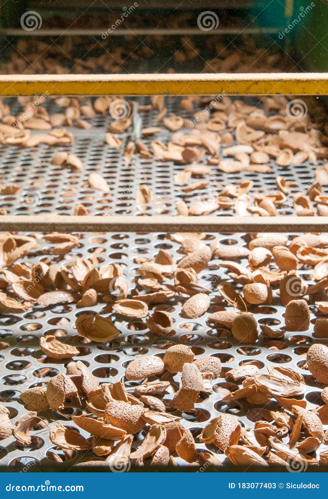 The working of almonds stock image. Image of carriage - 183077403