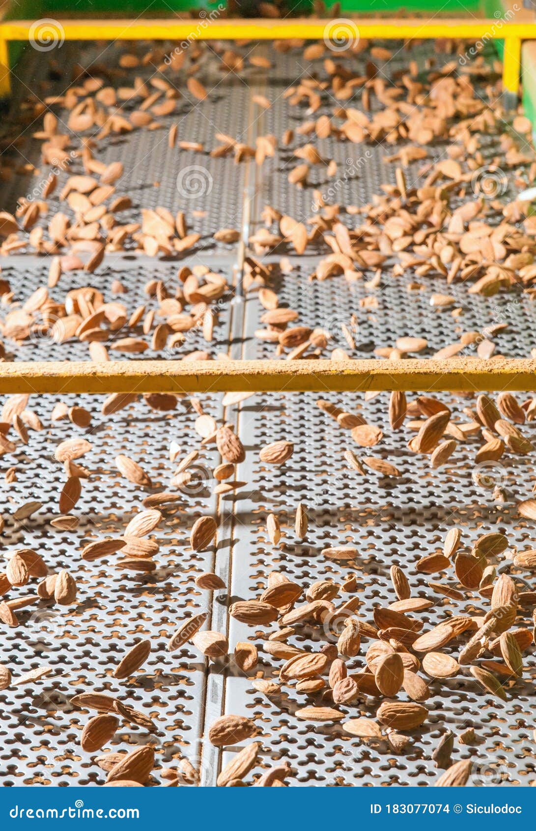 The working of almonds stock photo. Image of fascionello - 183077074