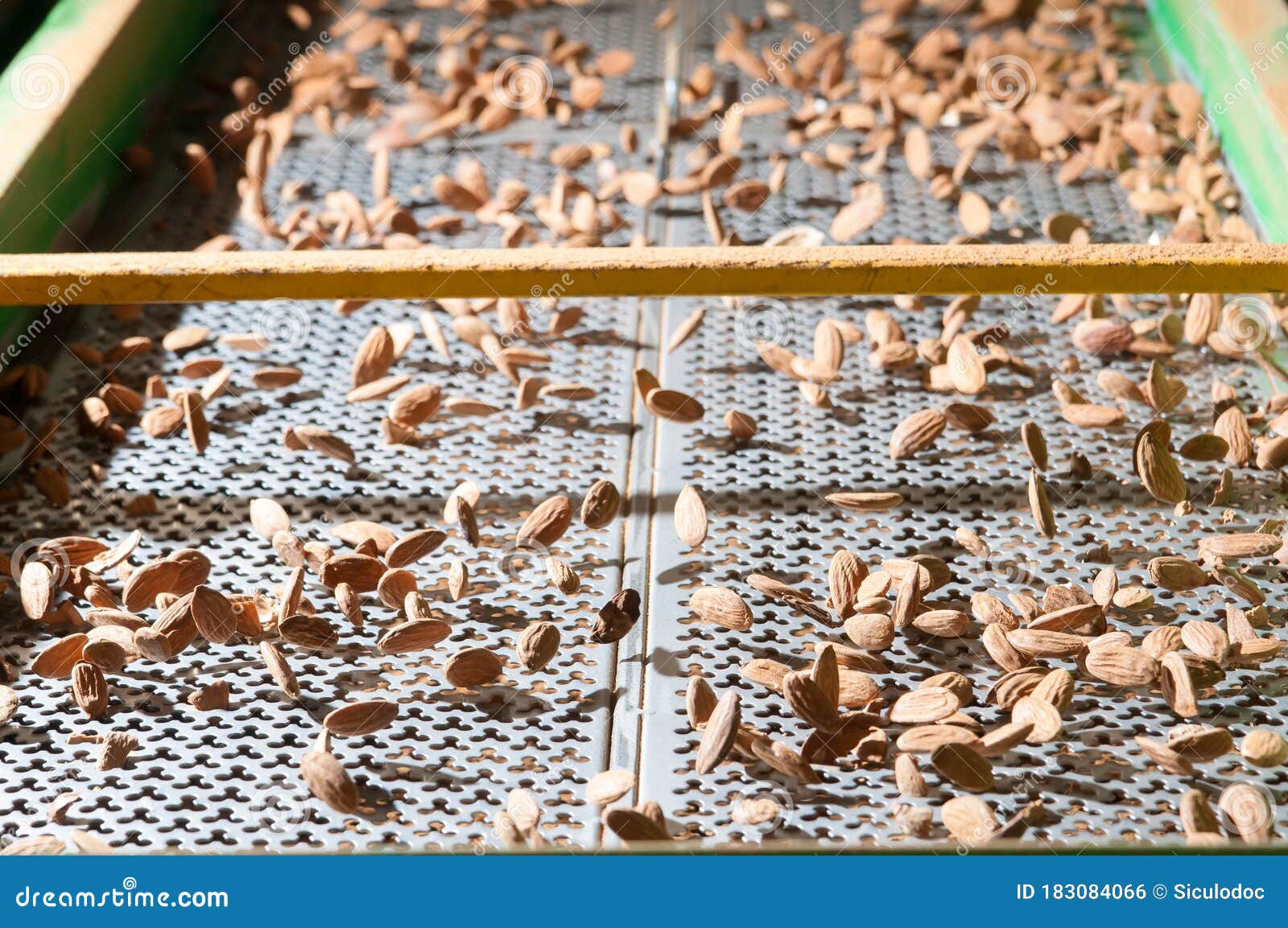 The working of almonds stock photo. Image of avola, noto - 183084066