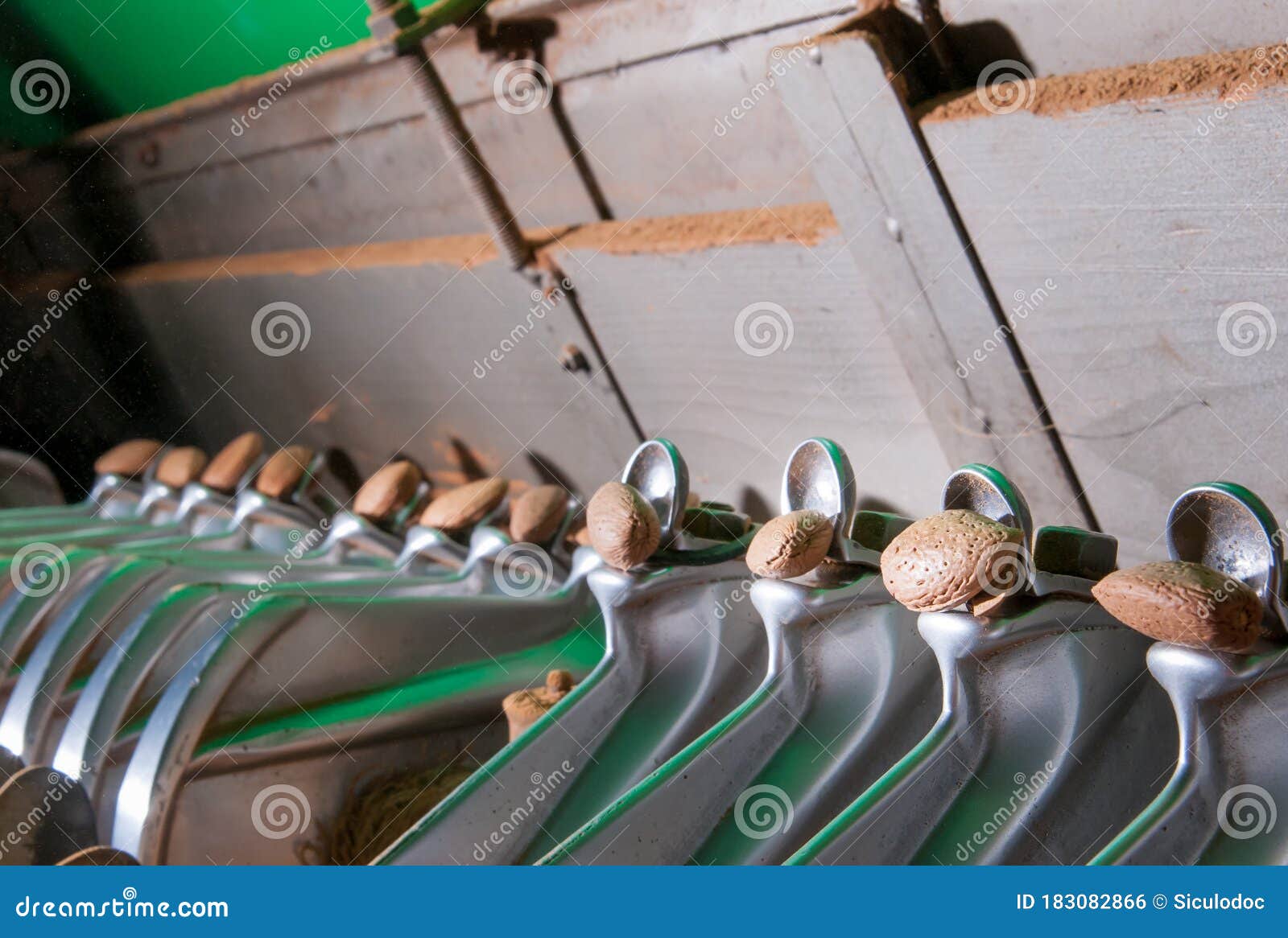 The working of almonds stock photo. Image of avola, fruit - 183082866