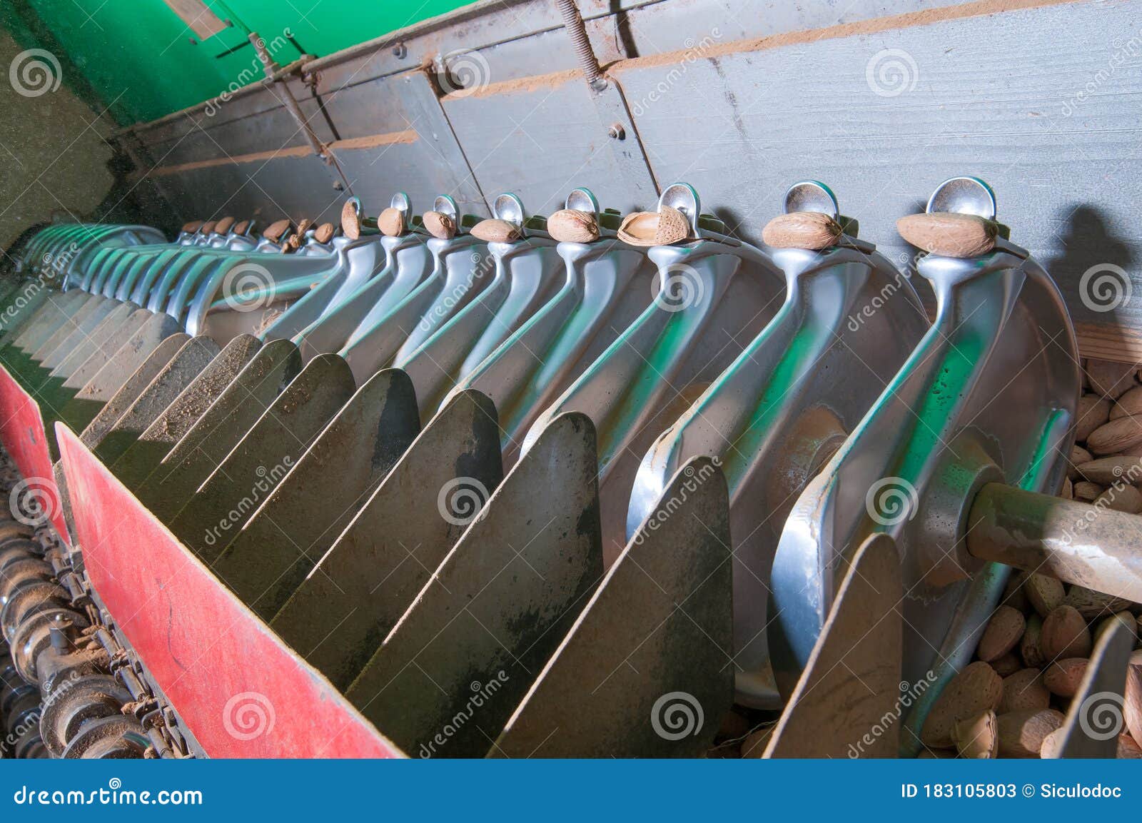 The working of almonds stock image. Image of machinery - 183105803