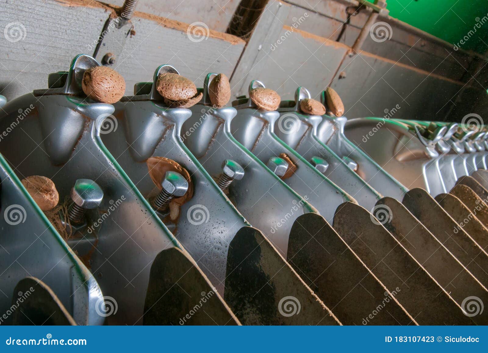 The working of almonds stock image. Image of romana - 183107423