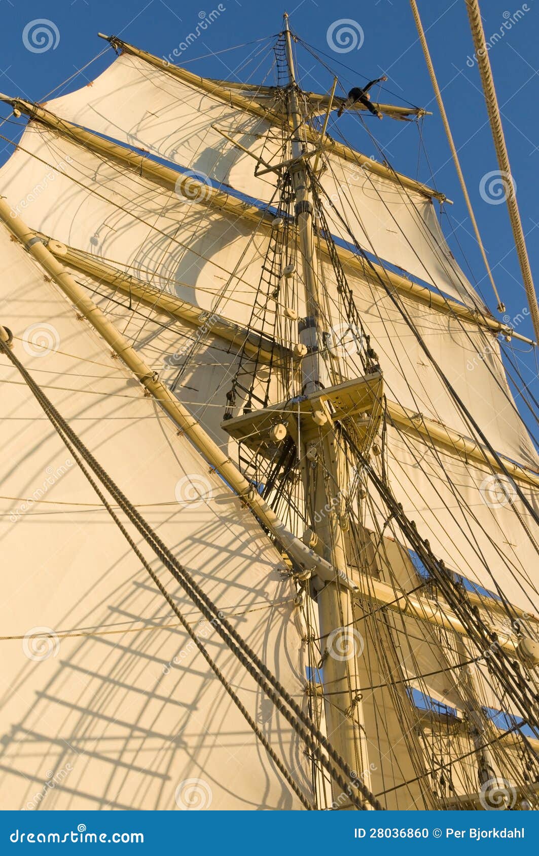 Working aloft Tall ship editorial image. Image of masts - 28036860