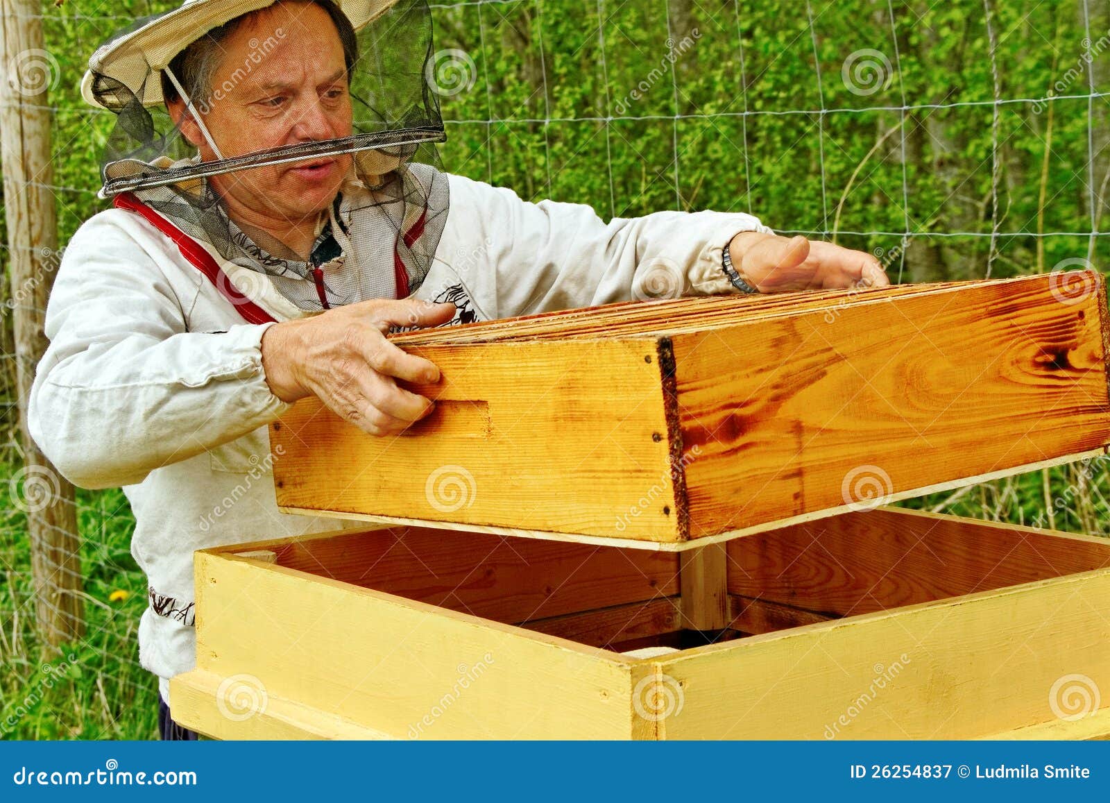 Working apiarist. stock image. Image of house, apiary - 26254837