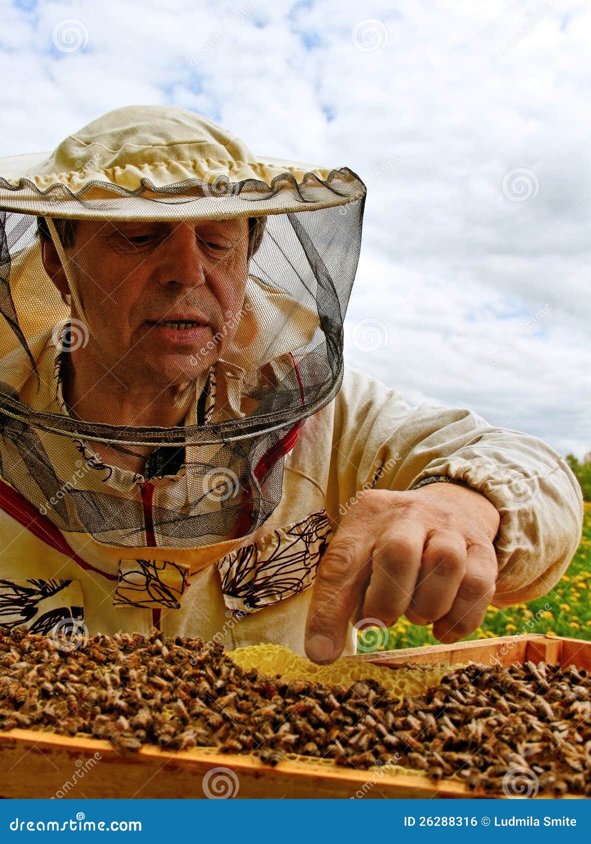 Working apiarist. stock photo. Image of hobby, honey - 26288316