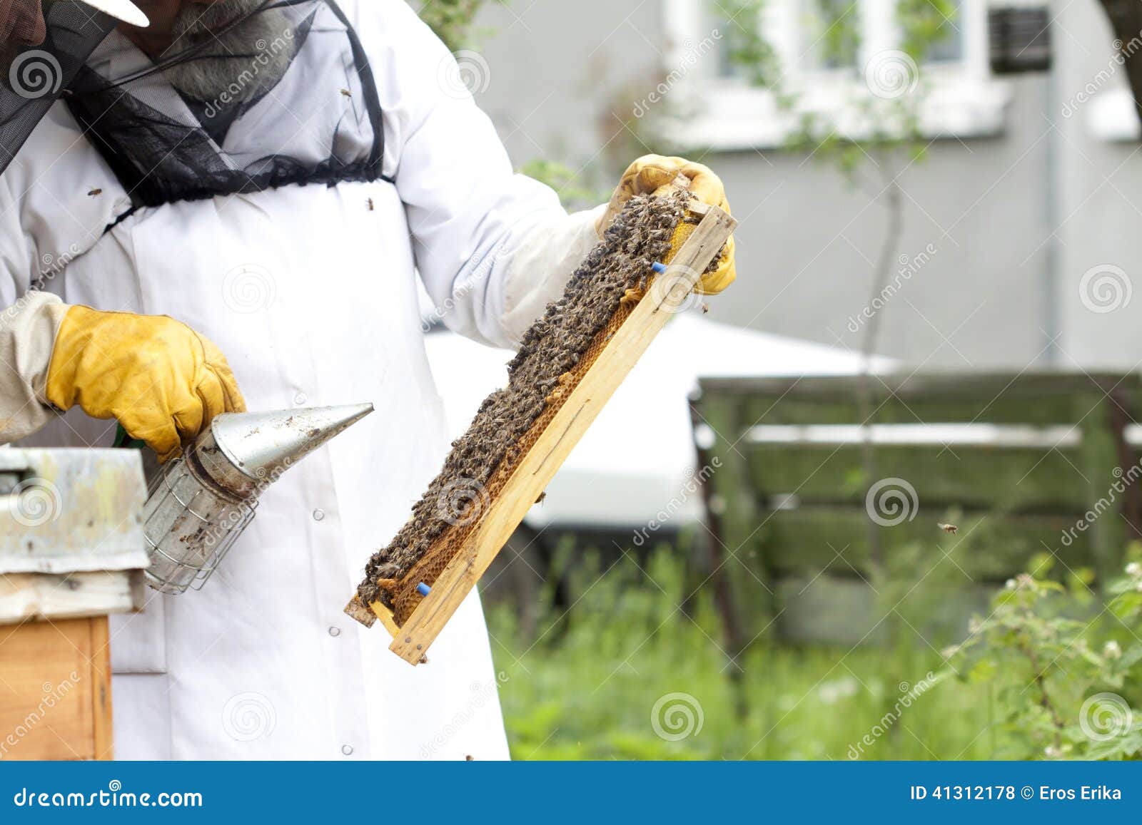 Working apiarist stock photo. Image of beekeeping, honey - 41312178