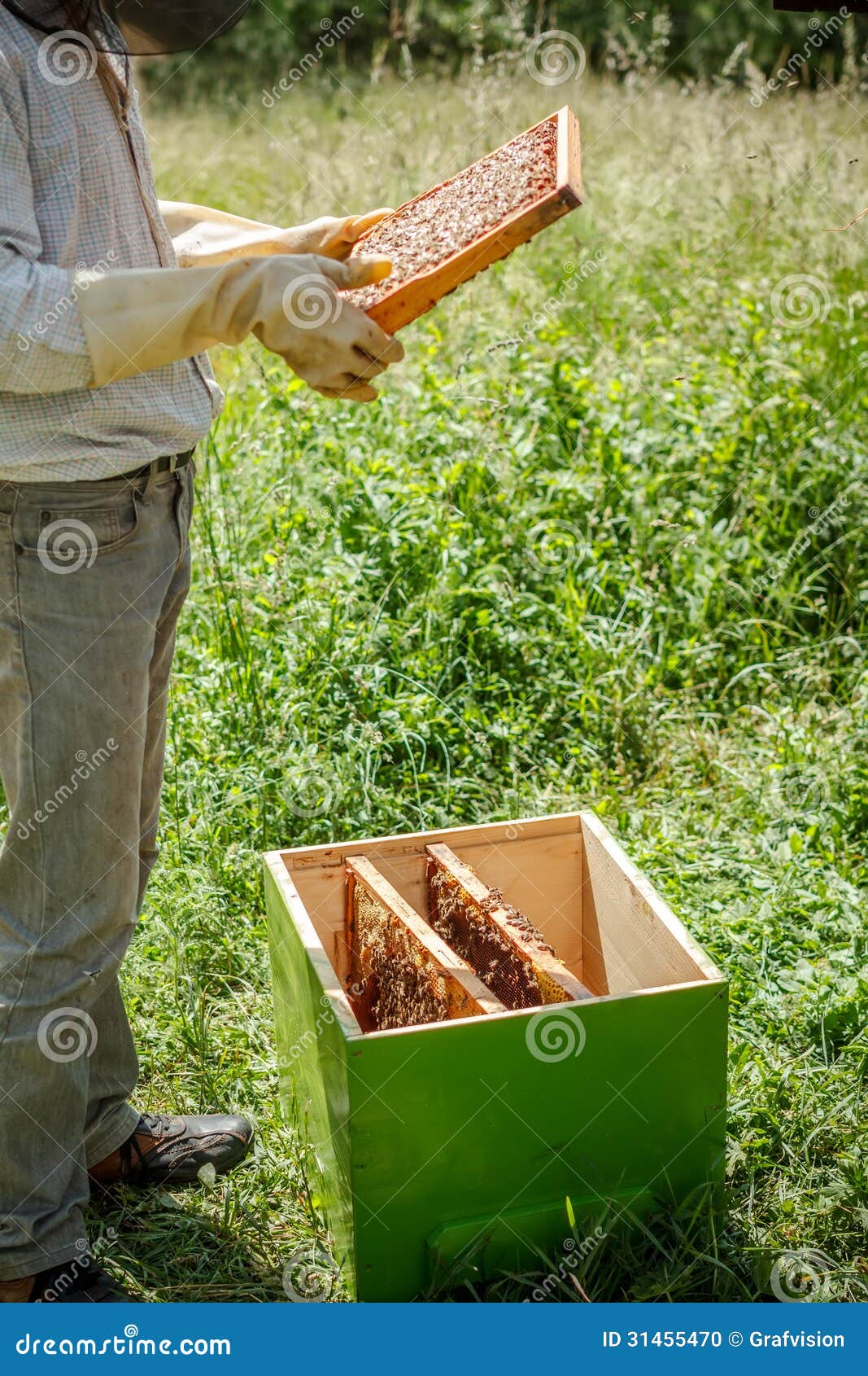 Working apiarist stock photo. Image of spring, rural - 31455470