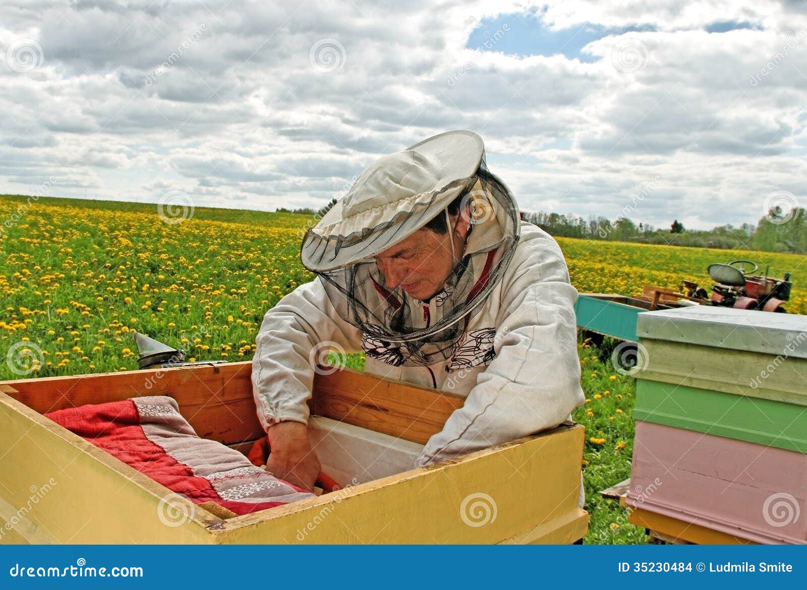 Working apiarist. stock photo. Image of male, beeswax - 35230484