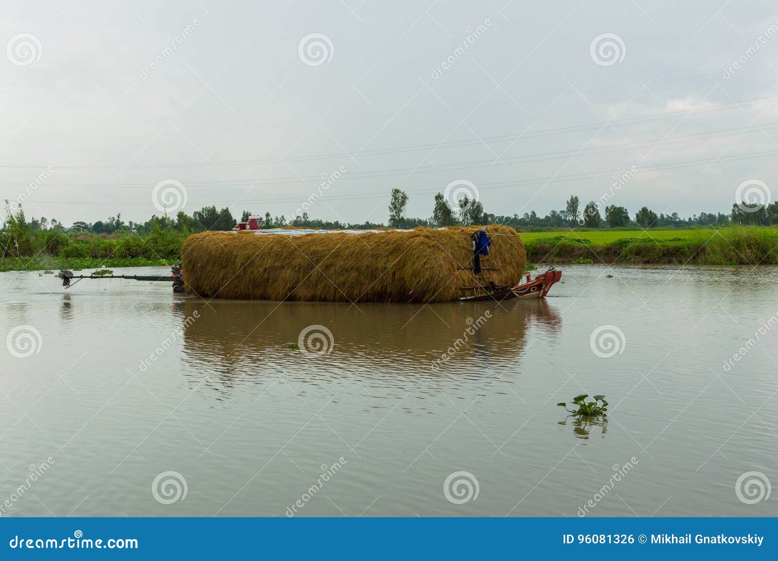 Working barge with hay stock photo. Image of materials - 96081326