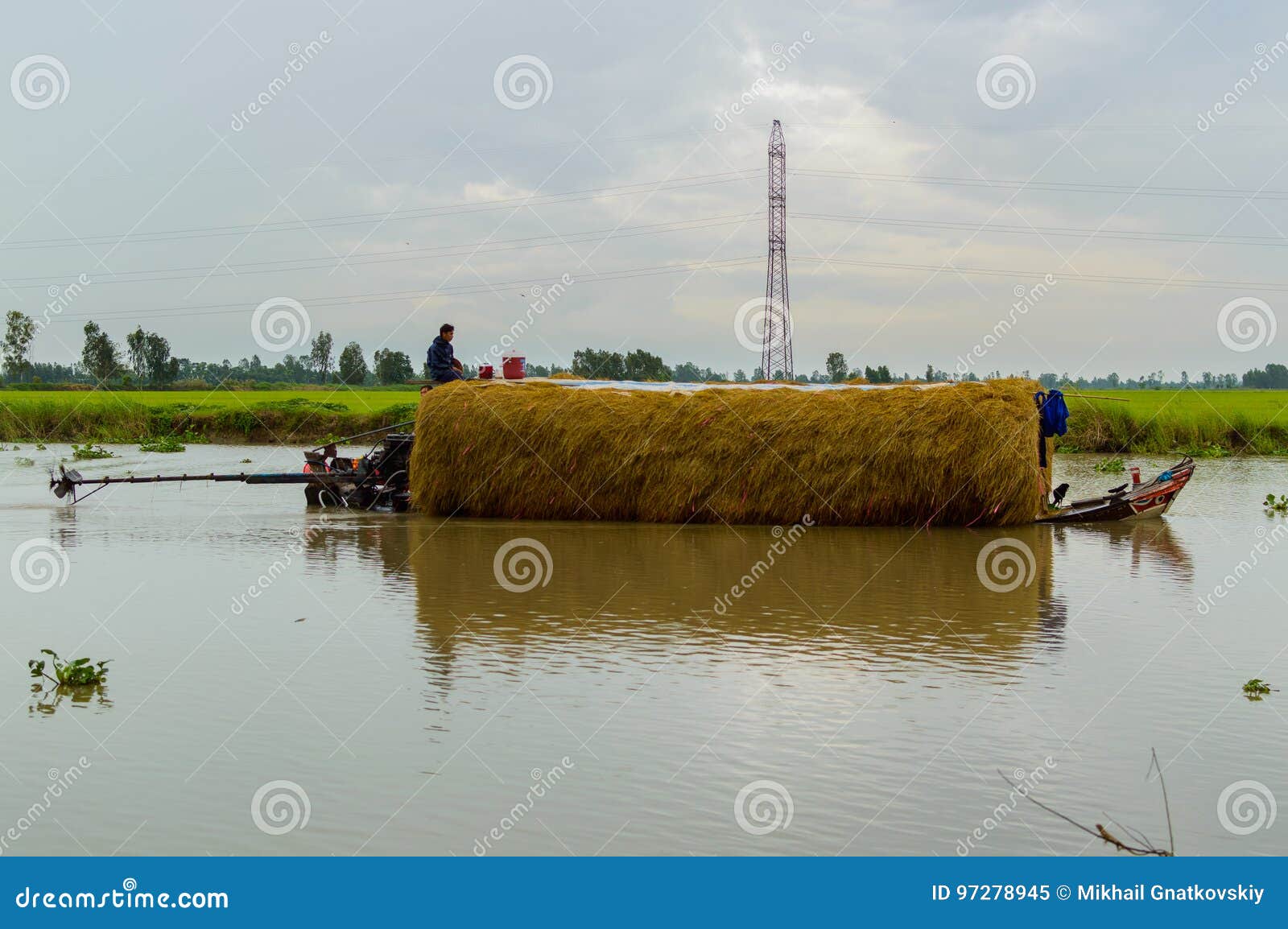 Working barge with hay editorial image. Image of boat - 97278945
