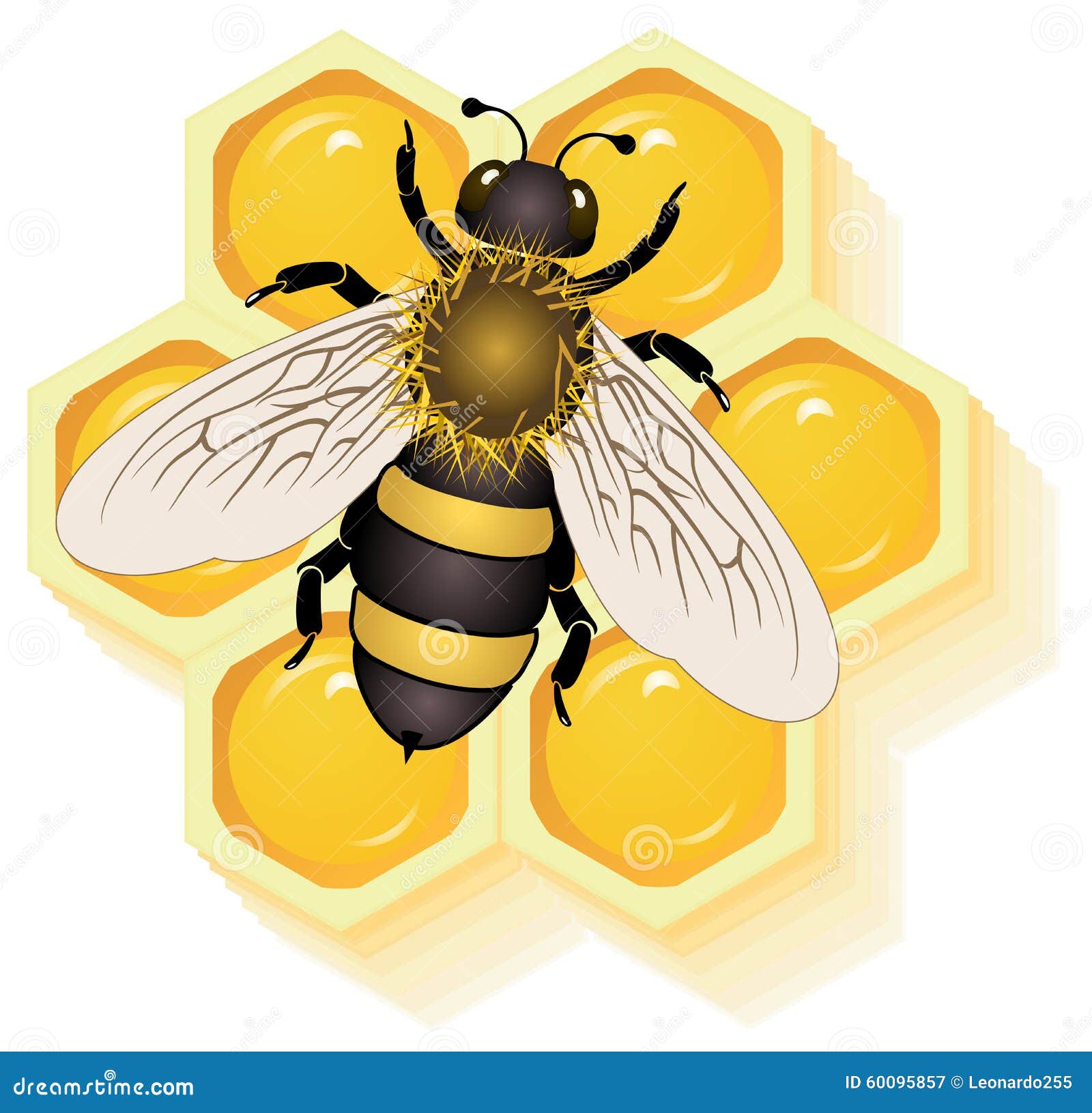 Honey Cells And Abstract Bee Concept Cartoon Vector | CartoonDealer.com ...