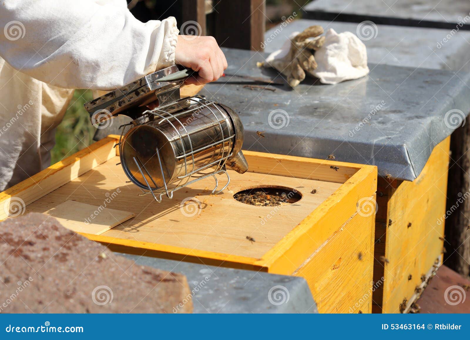 Working bee keeper stock photo. Image of apiculture, farm - 53463164