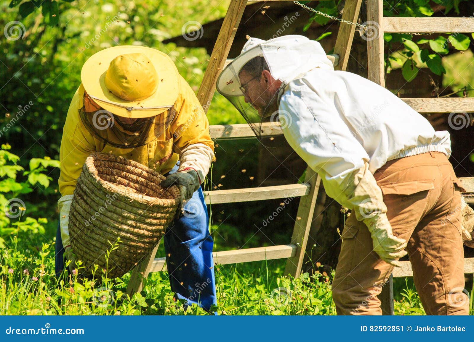 Working beekeeper editorial photo. Image of beekeeper - 82592851