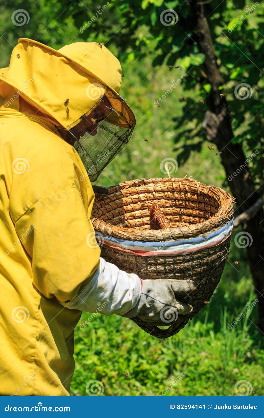 Working beekeeper editorial photo. Image of honeycomb - 82594141