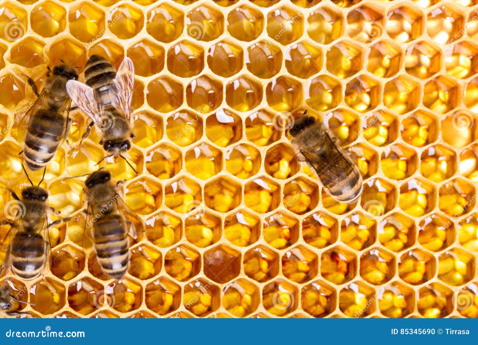 Working Bees Colony On The On Background Hive. Texture. Close Up. View ...