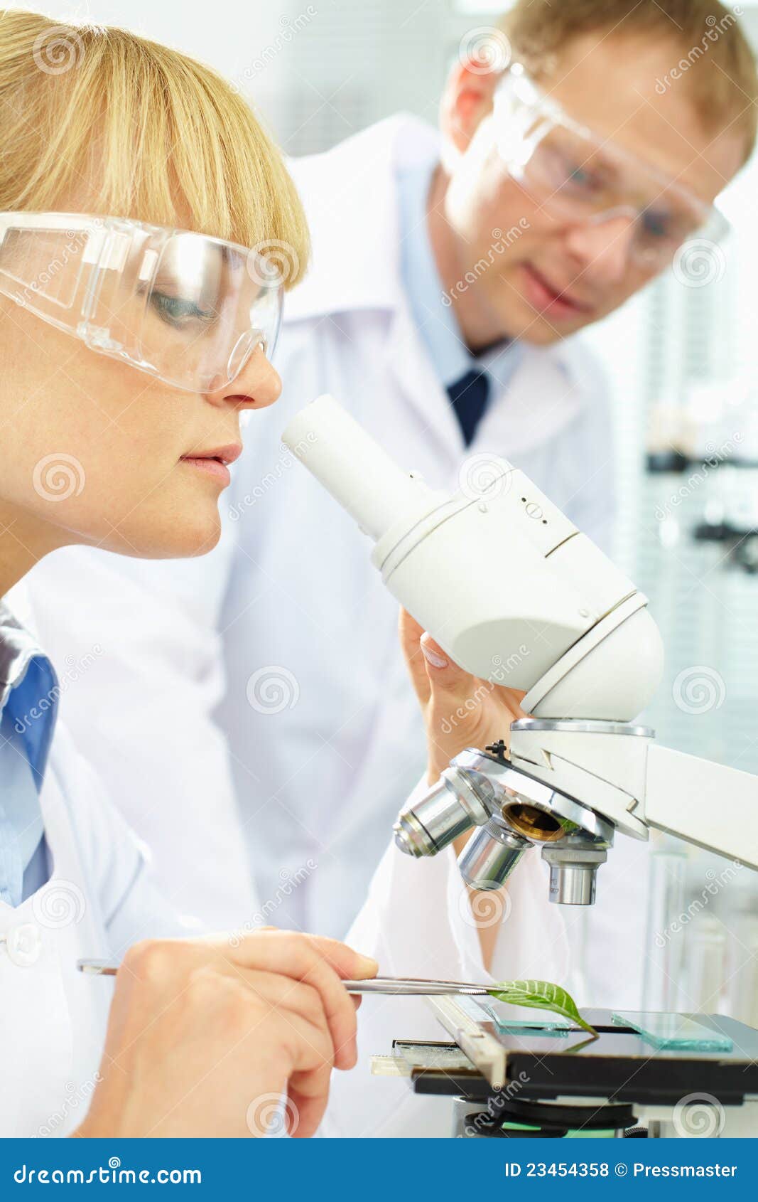 Working biochemist stock photo. Image of clinic, female - 23454358