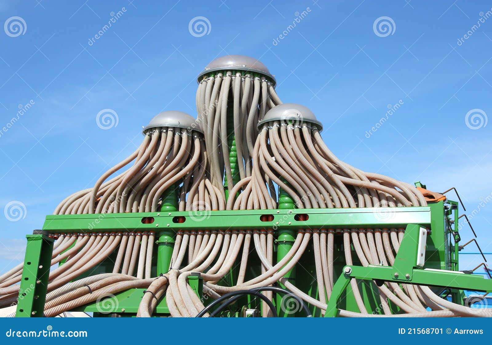Land Octopus Stock Photos - Free & Royalty-Free Stock Photos from ...